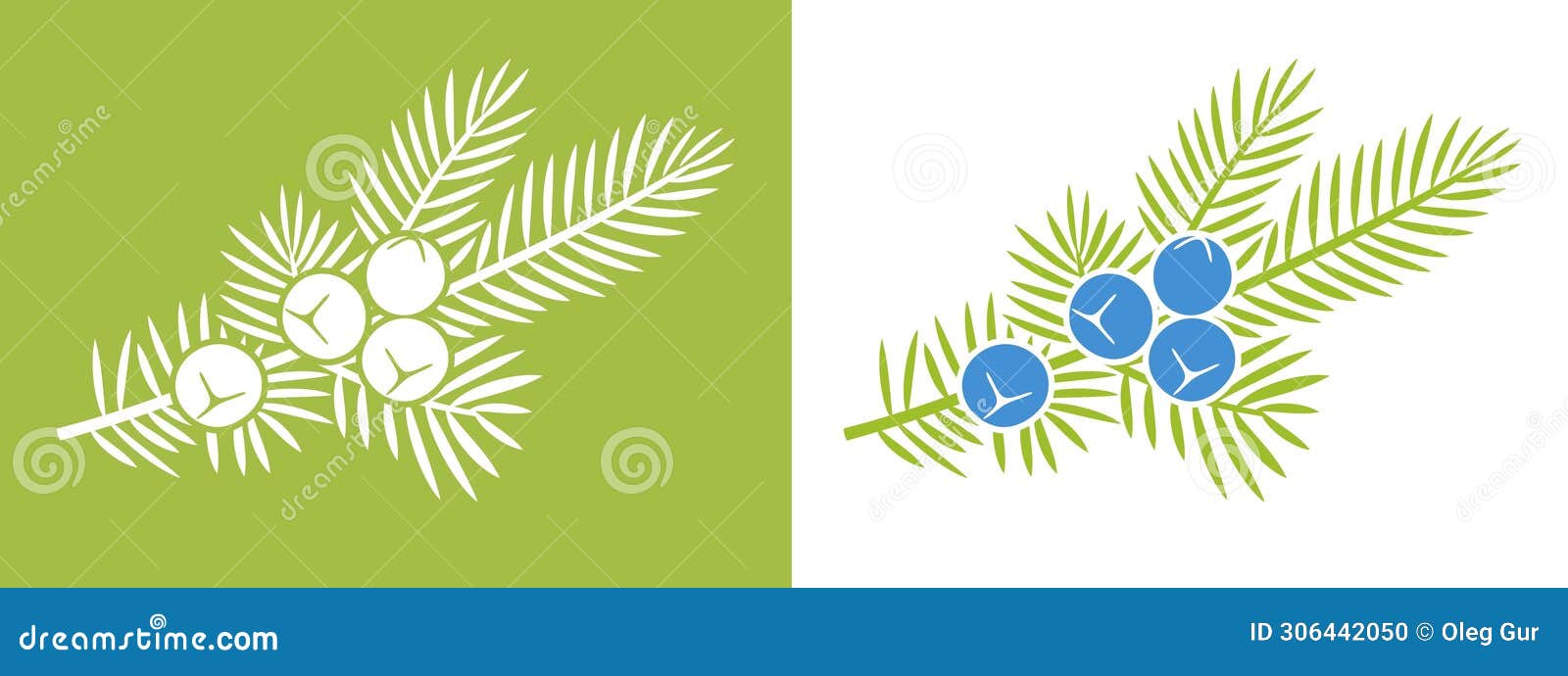 Logo Juniper, White Sage, Lavender, Cedar, Mugwort, Rosemary, Palo ...