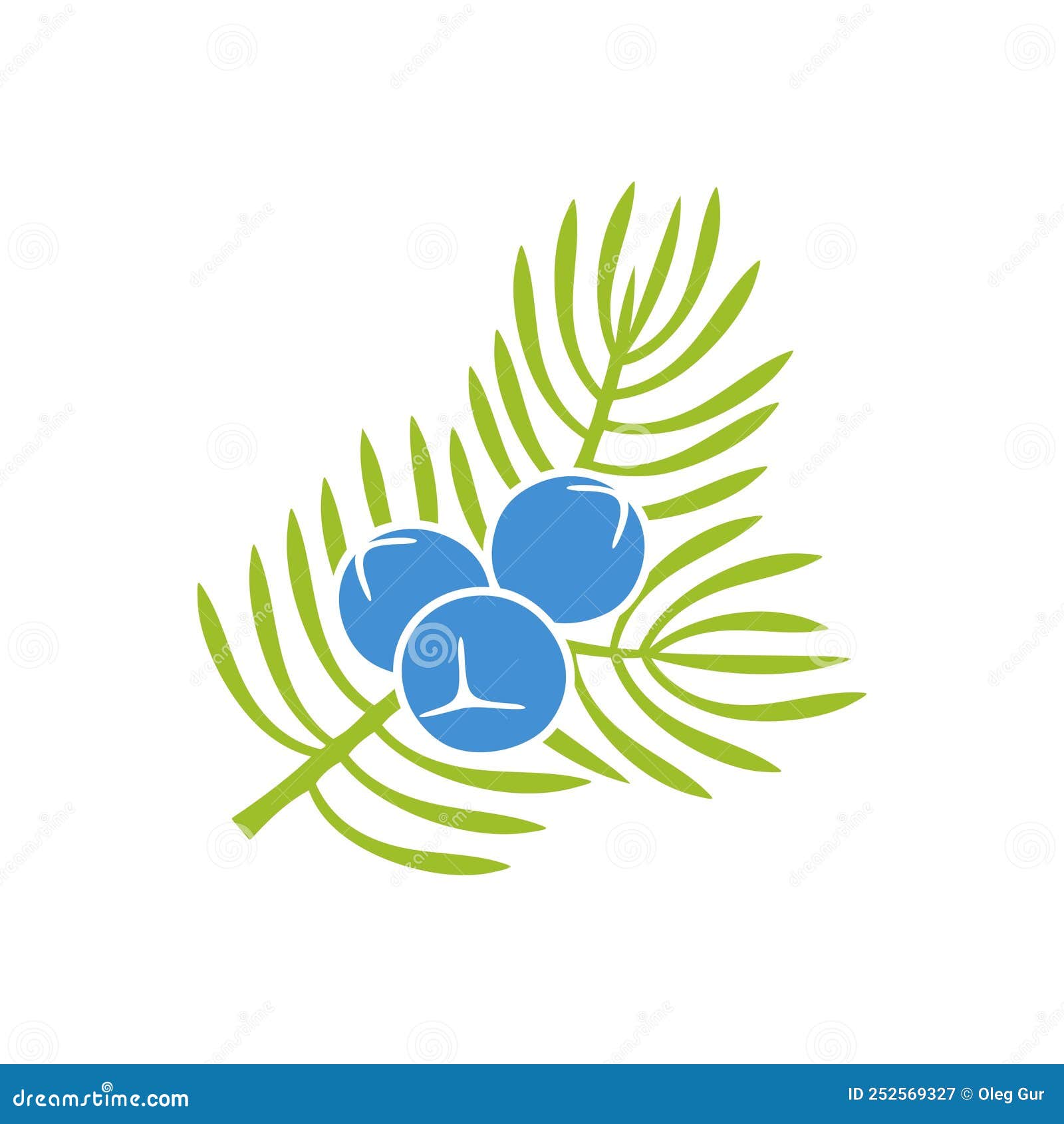 Juniper Berries Logo. Isolated Juniper Berries on White Background ...