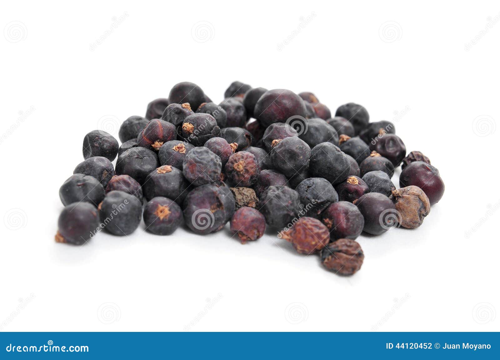 Juniper Grains Photos - Free & Royalty-Free Stock Photos from Dreamstime