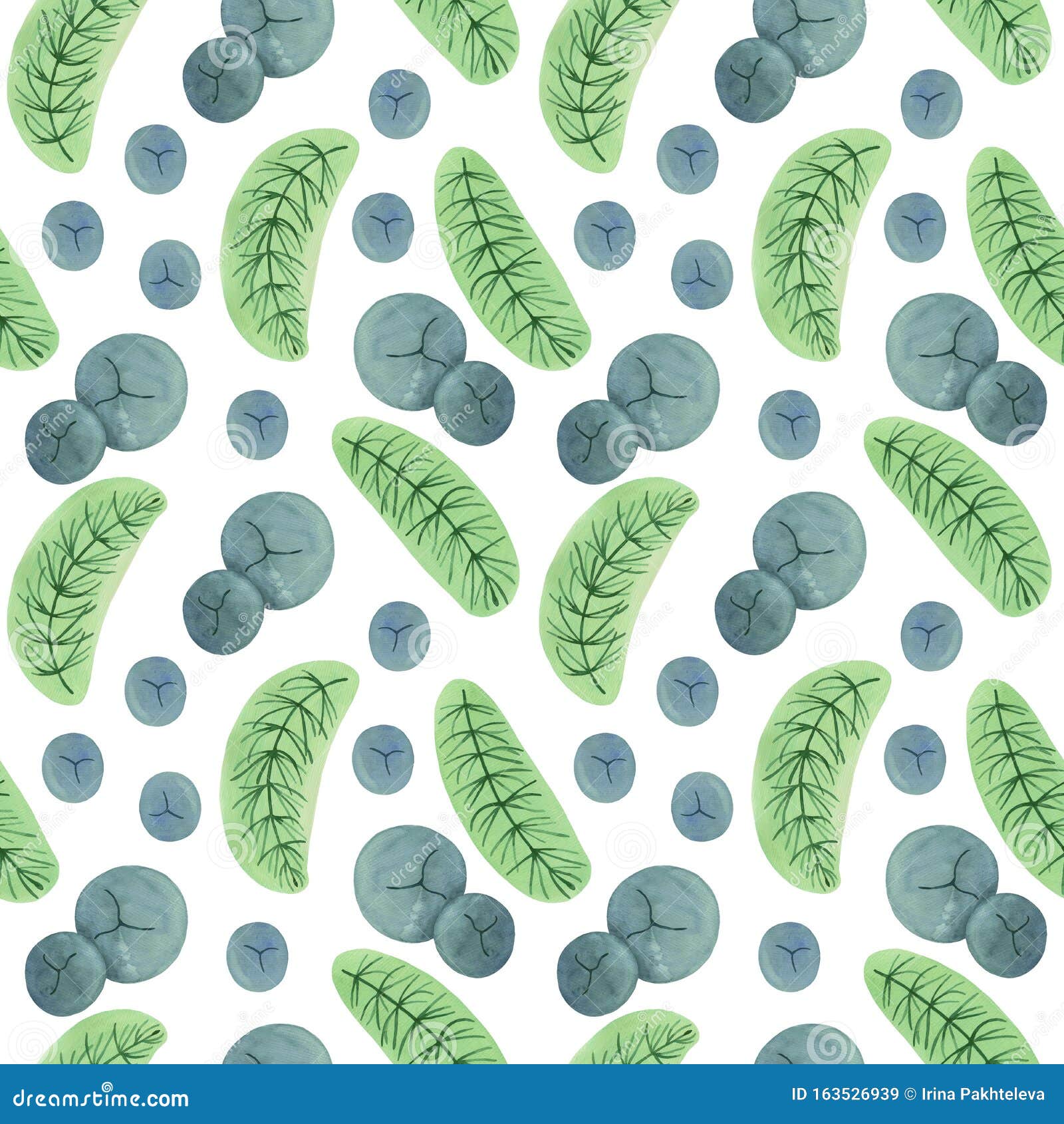 Juniper Branches and Berries Drawn in Watercolor. Seamless Pattern on a ...
