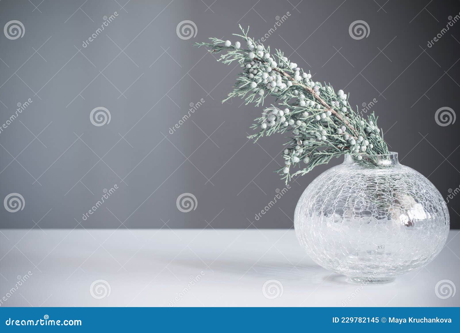 Juniper Branches in Vase on Gray Background Stock Image - Image of vase, festive: 229782145
