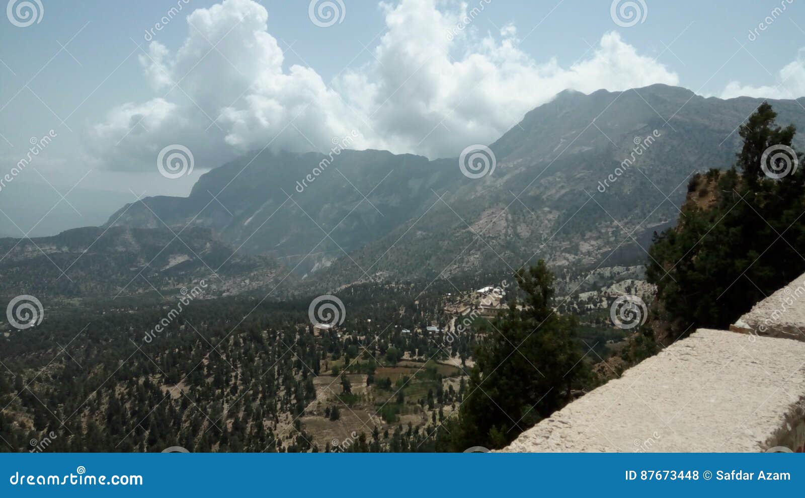 Sanober Trees Stock Photos - Free & Royalty-Free Stock Photos from ...