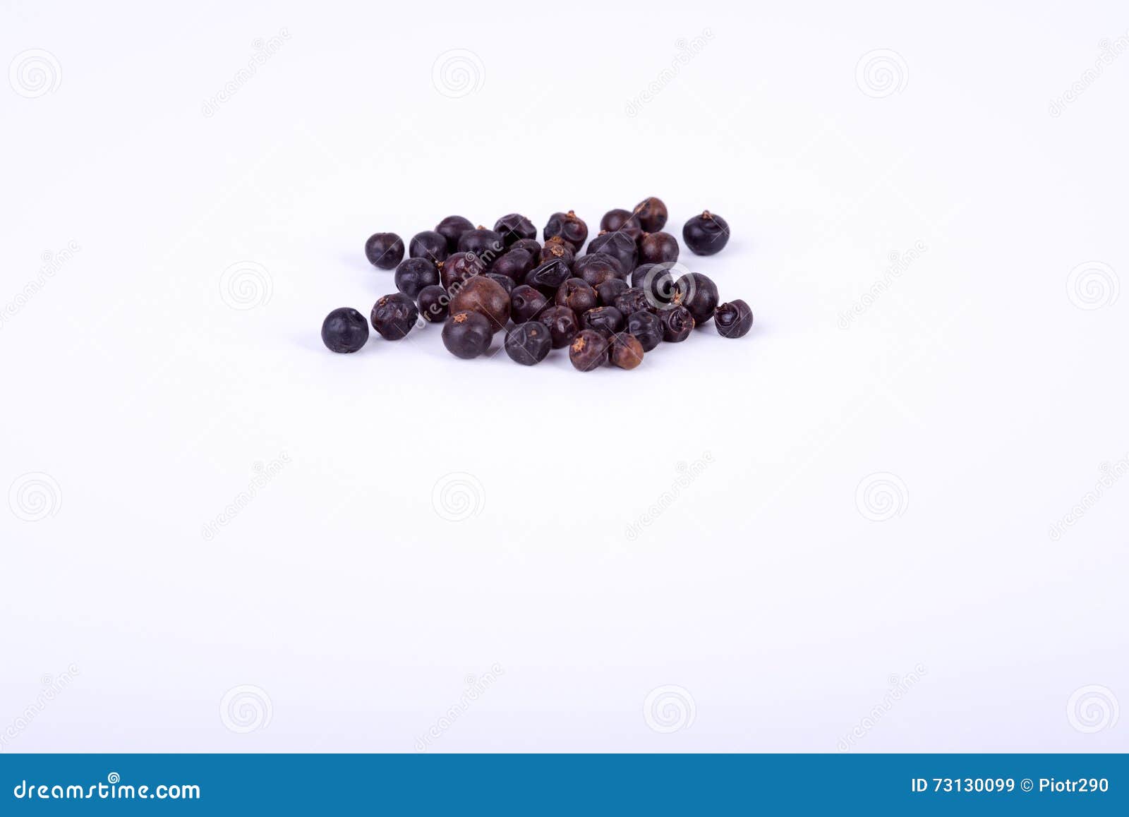 Juniper in Glass Containers Stock Image - Image of juniper, herb: 73130099