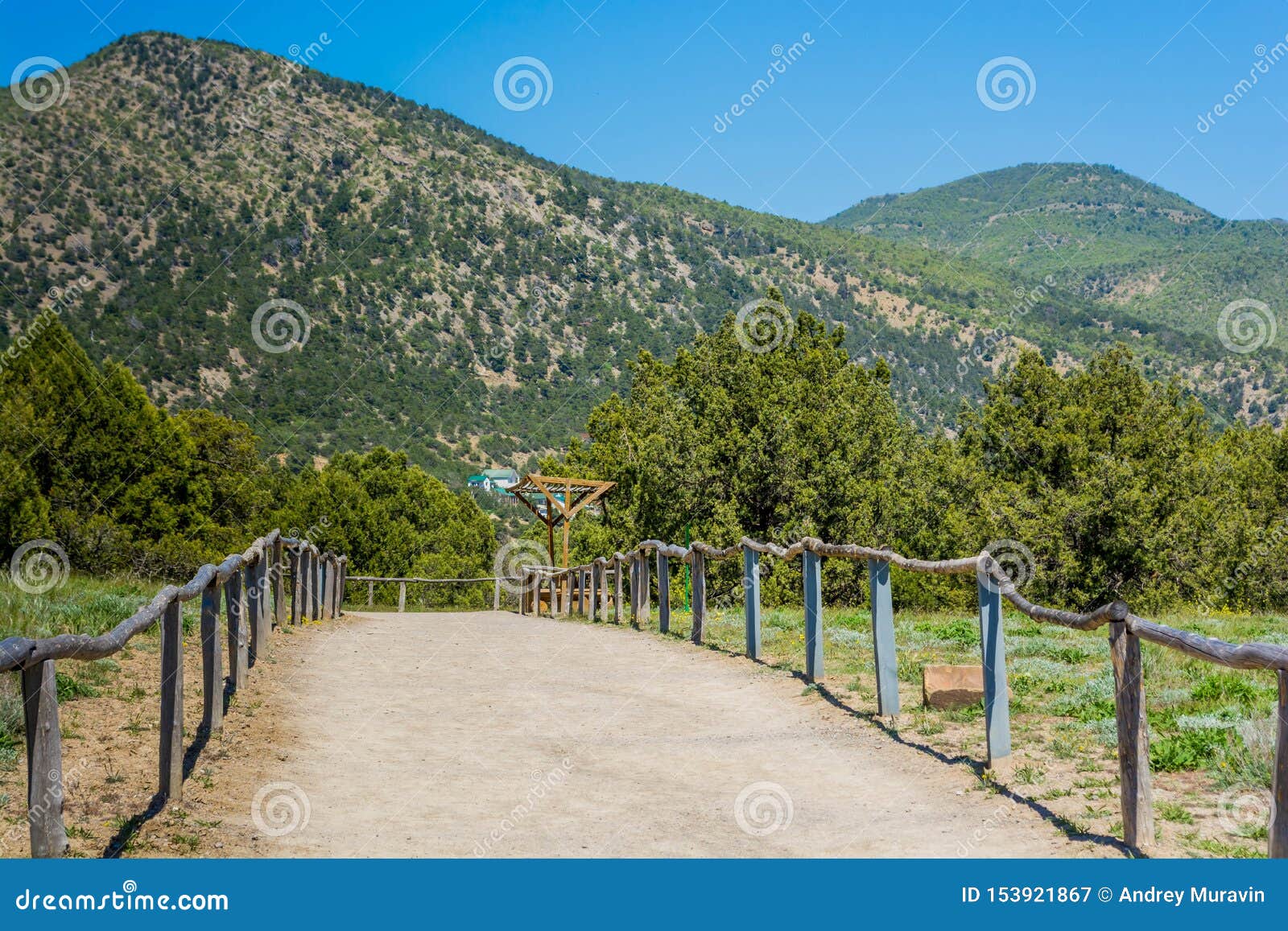 Juniper Grove stock image. Image of park, rocks, nature - 153921867