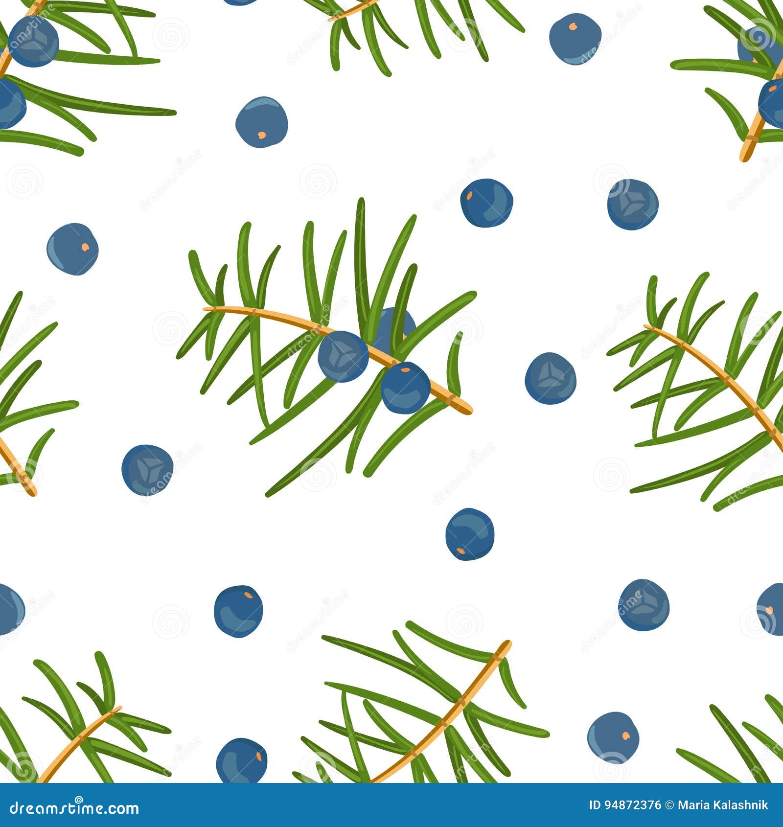 Juniper Pattern: Berries Juniper and a Branch Stock Illustration ...