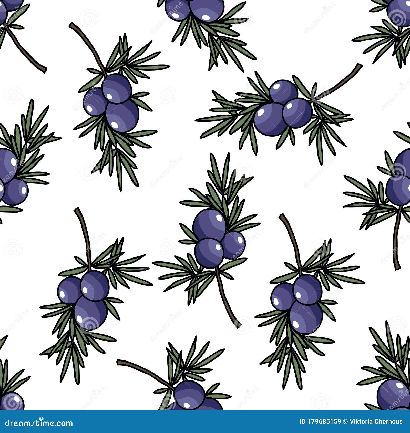 Juniper Seamless Doodle Pattern Stock Illustration - Illustration of ...