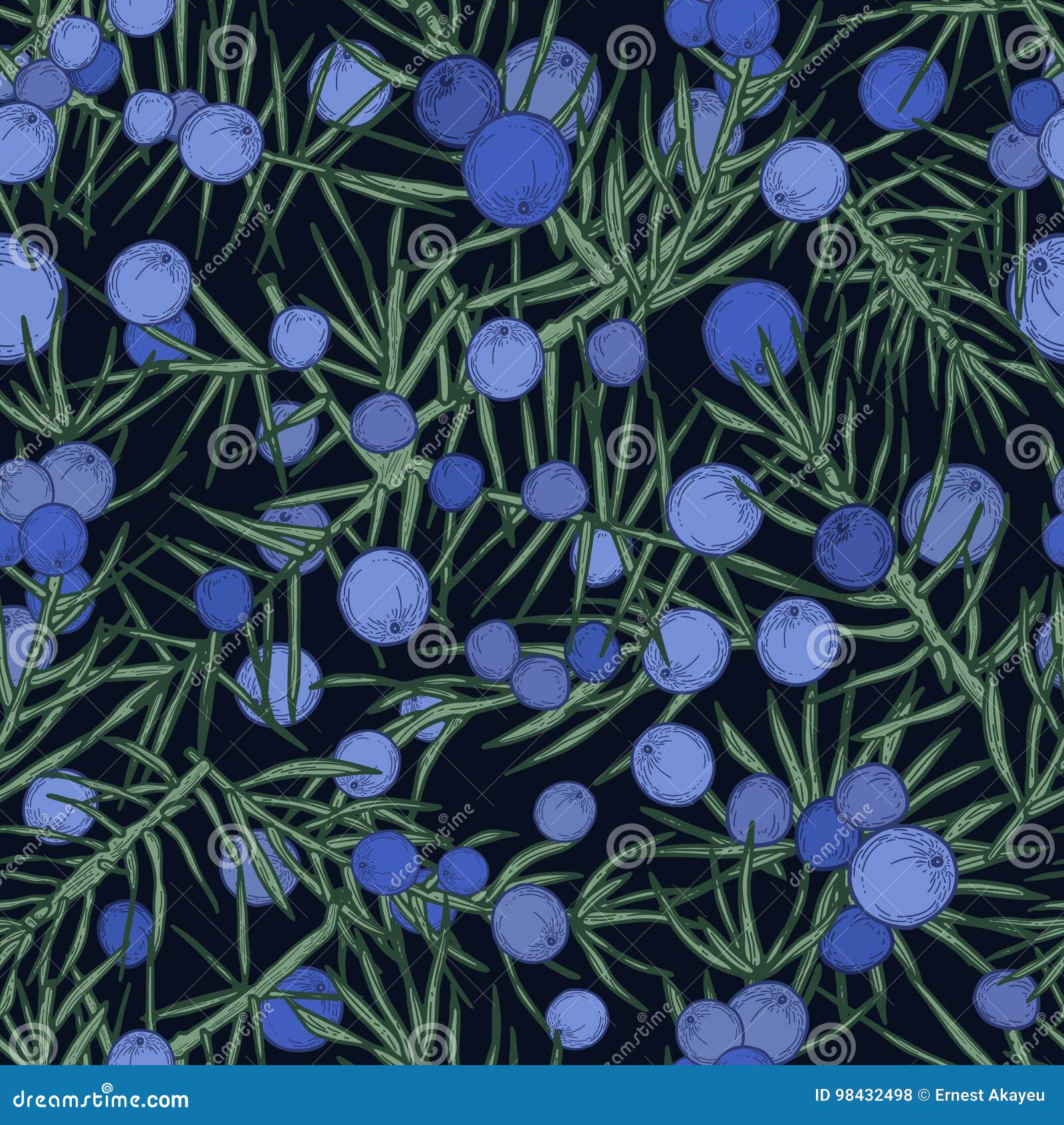 Juniper Set. Detailed Hand Drawn Branches With Berries. Colorful Hand ...