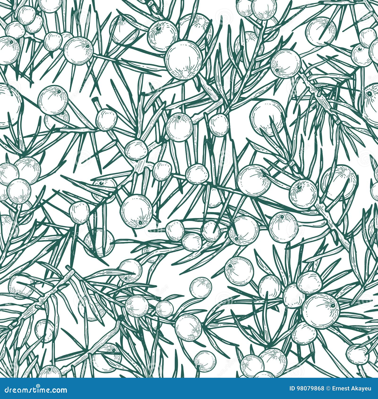 Juniper Seamless Pattern. Detailed Hand Drawn Branches with Berries ...