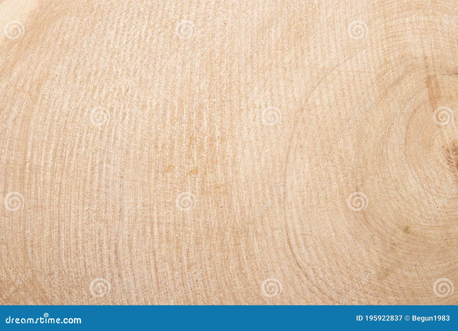 The Texture of Juniper Wood in the Section.Juniper Tree Background ...