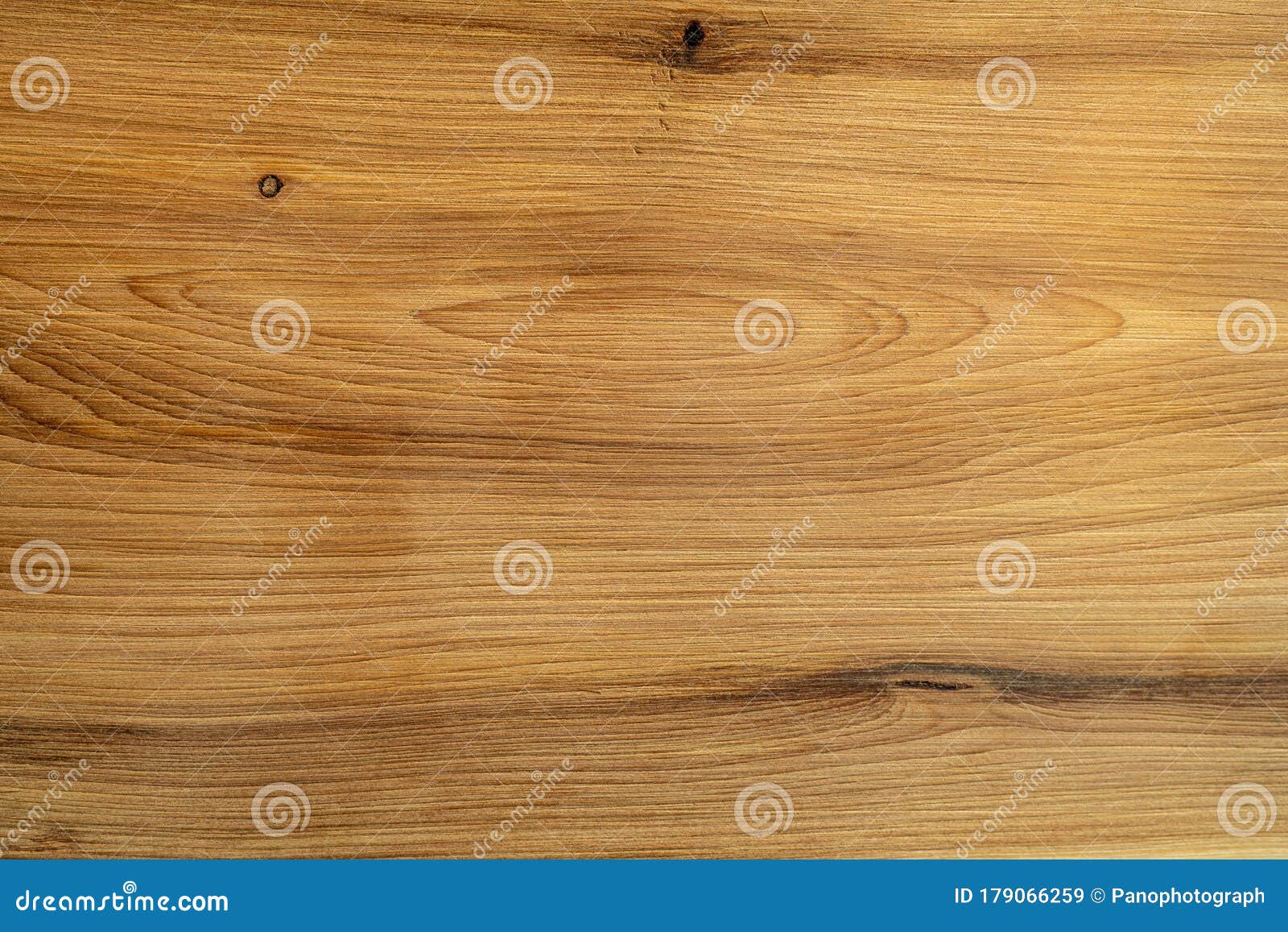 Juniper Tree Texture. Juniper Wod Stock Image - Image of color ...