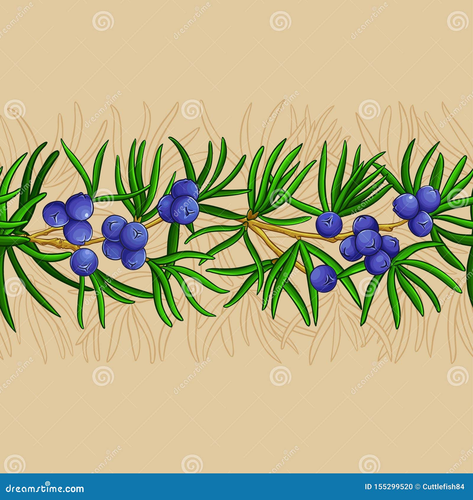 Juniper vector pattern stock vector. Illustration of herbal - 155299520