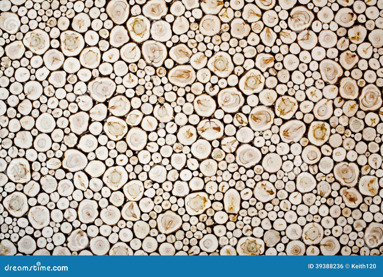 Juniper Wood pattern stock photo. Image of cedar, maple - 39388236