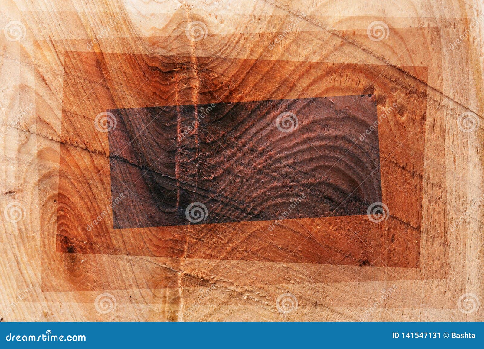 Juniper Wood Texture Background with Old Natural Pattern. Grunge ...