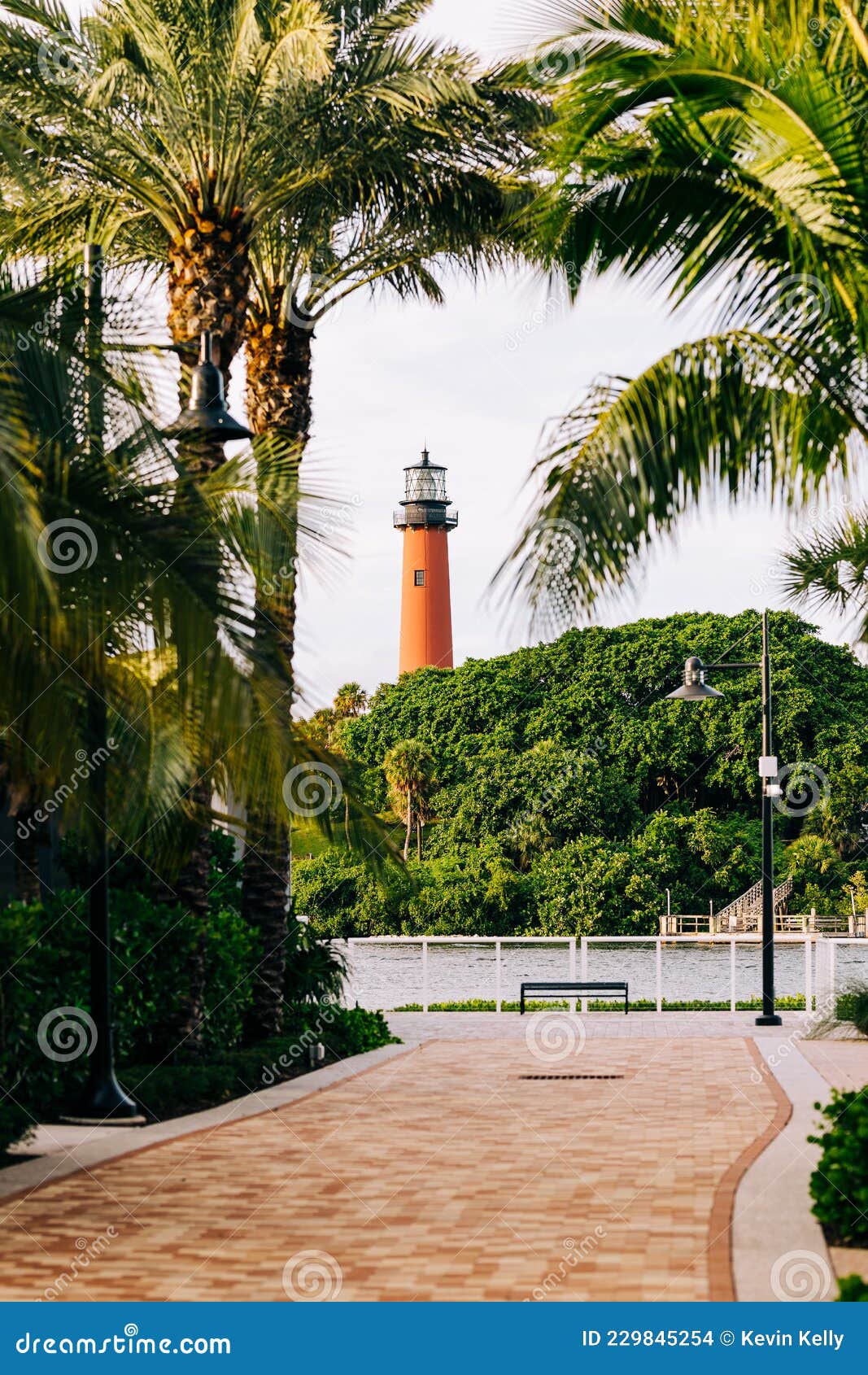 Jupiter Lighthouse with Palm Trees Stock Photo - Image of south, ocean ...
