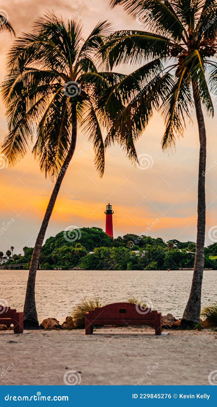 Jupiter Lighthouse with Palm Trees Stock Photo - Image of blue, florida ...