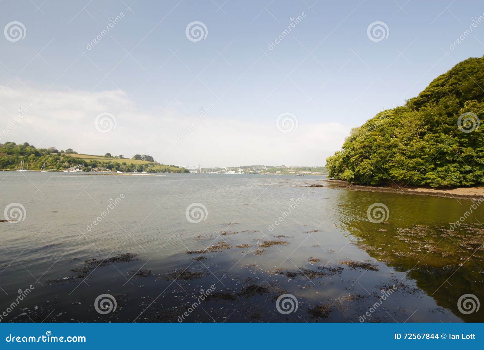 Jupiter Point River Lynher Cornwall Editorial Stock Image - Image of ...