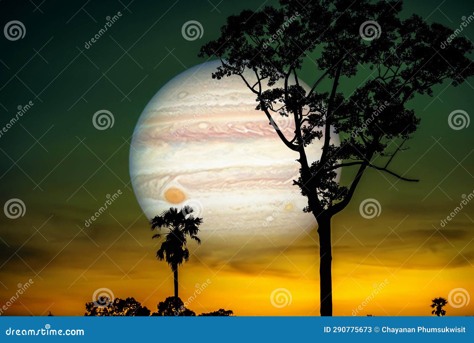 Jupiter between Silhouette Top Tree and the Teal Yellow Sky and Cloud ...
