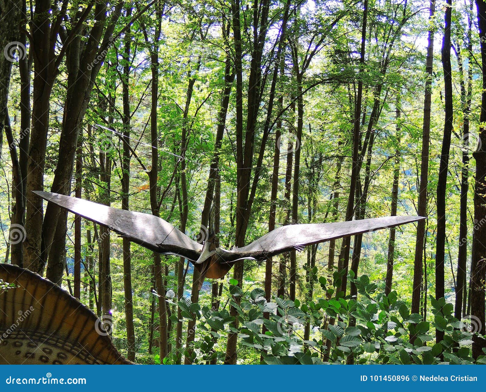 Pterodactyl. Flying Dinosaur Editorial Photo - Image of grass, tree ...