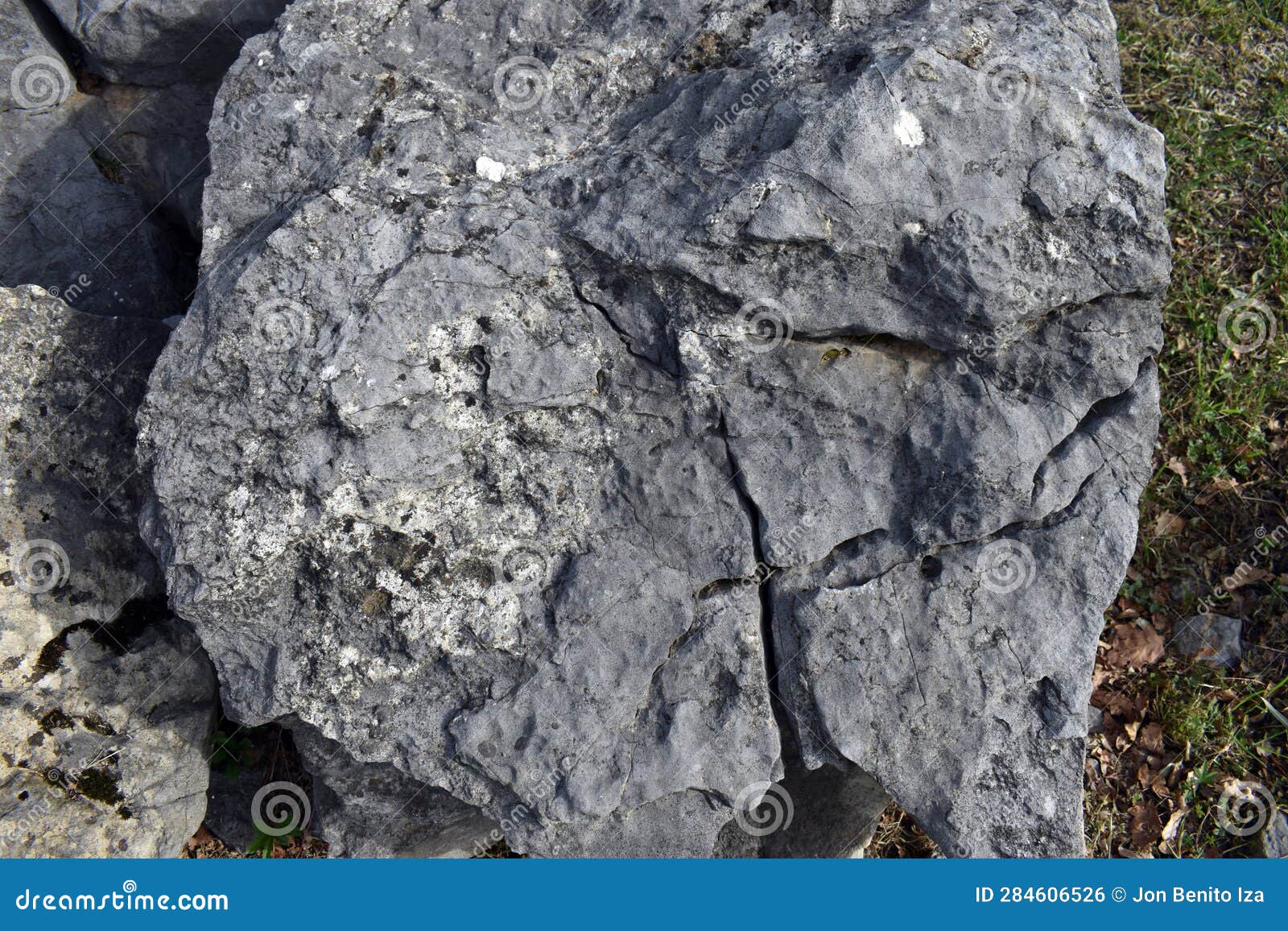 Oolitic Texture Of Limestone. Stock Photography | CartoonDealer.com ...