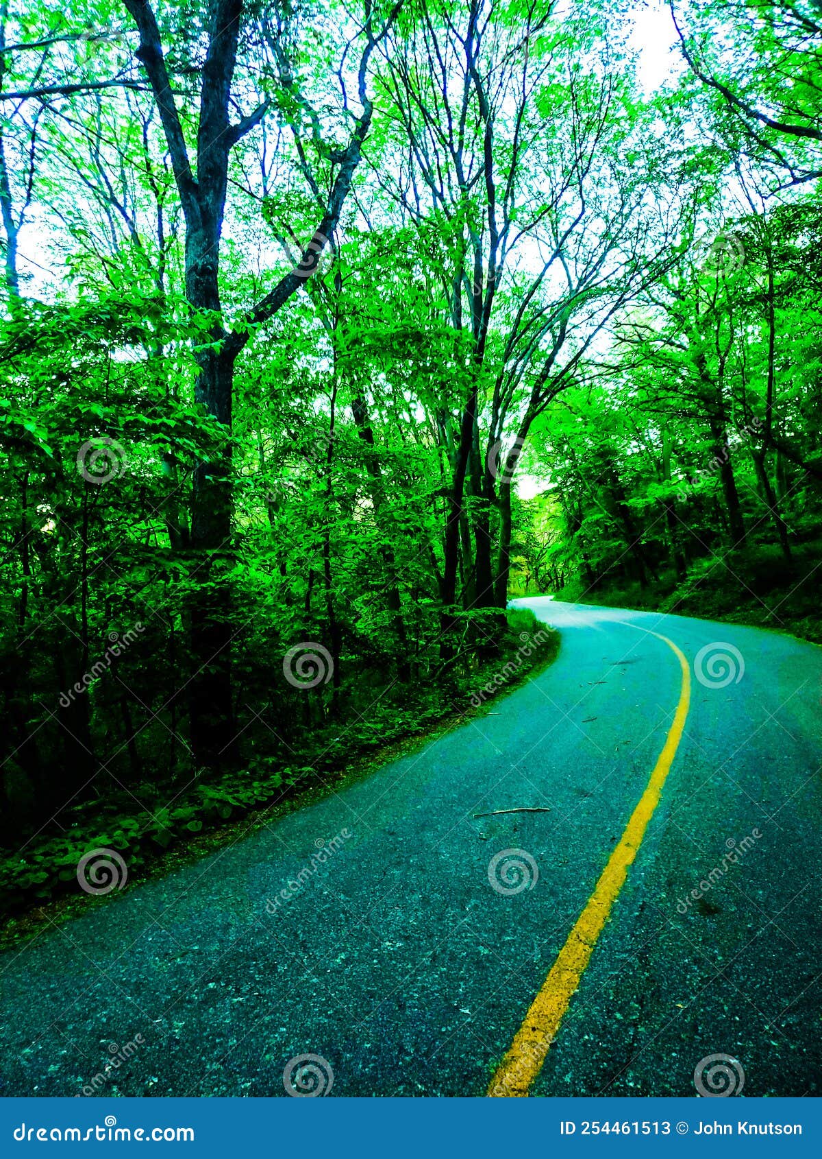 Just around the Bend stock image. Image of woods, road - 254461513