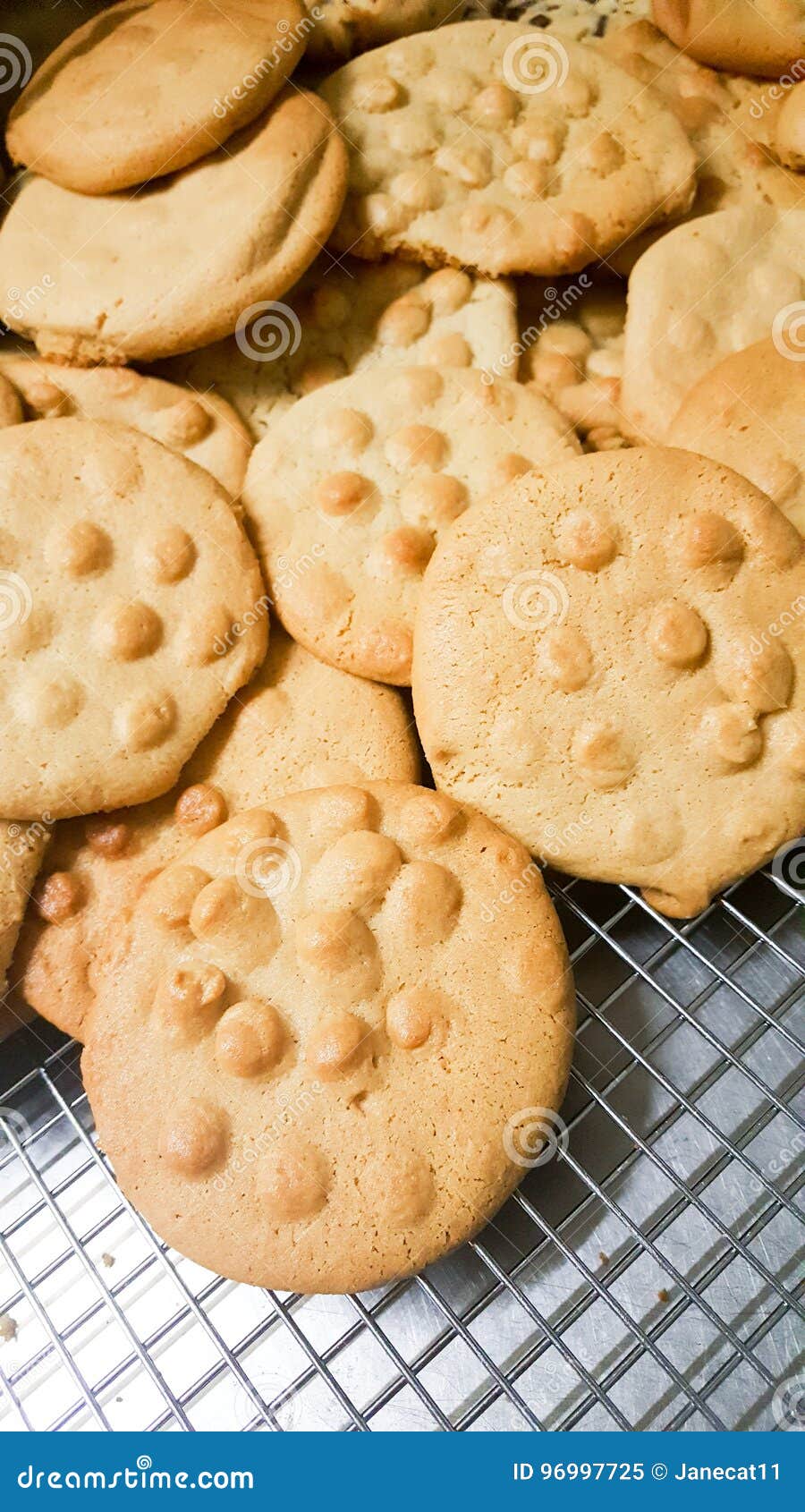 Just baked malt biscuits stock image. Image of malt, ready - 96997725