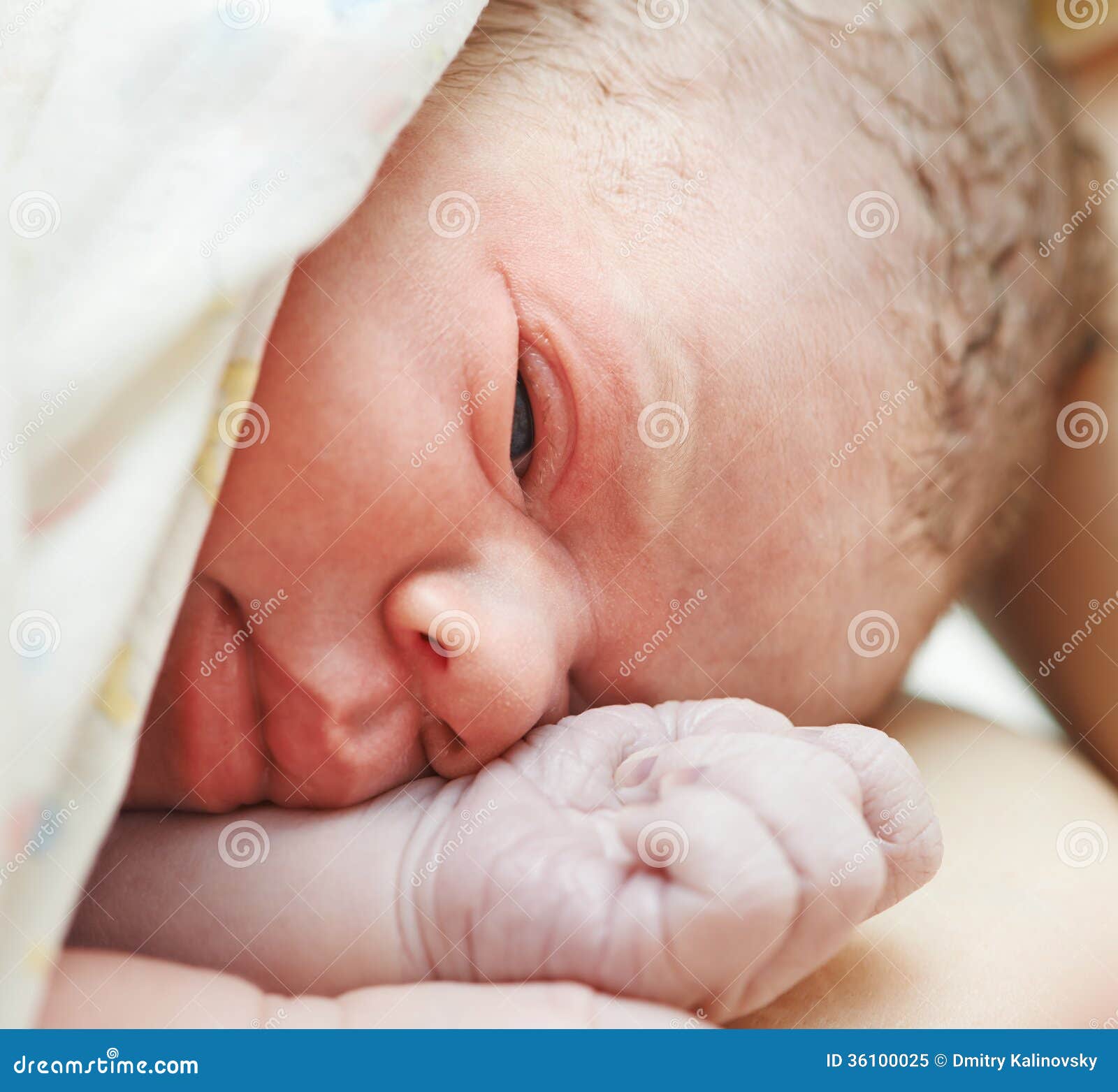 Just after Born Newborn Baby Stock Image - Image of chubby, little ...