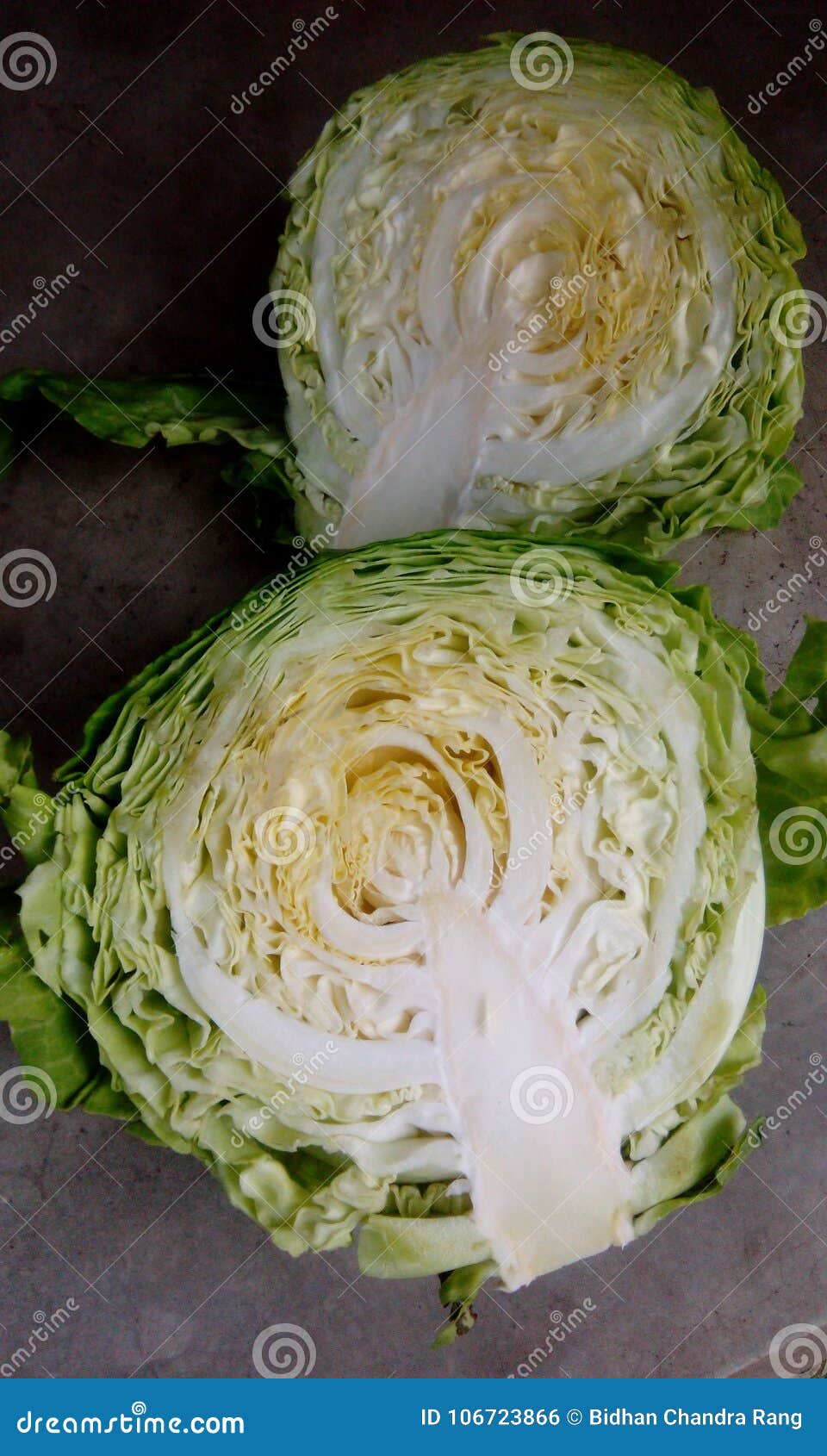 Just Cut Fresh Cabbage Someone Dancing Stock Photo - Image of dancing ...