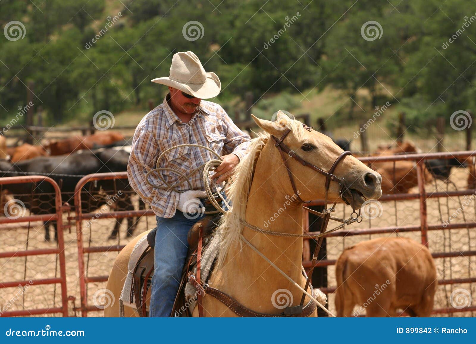 Just a day at work stock photo. Image of roundup, west - 899842