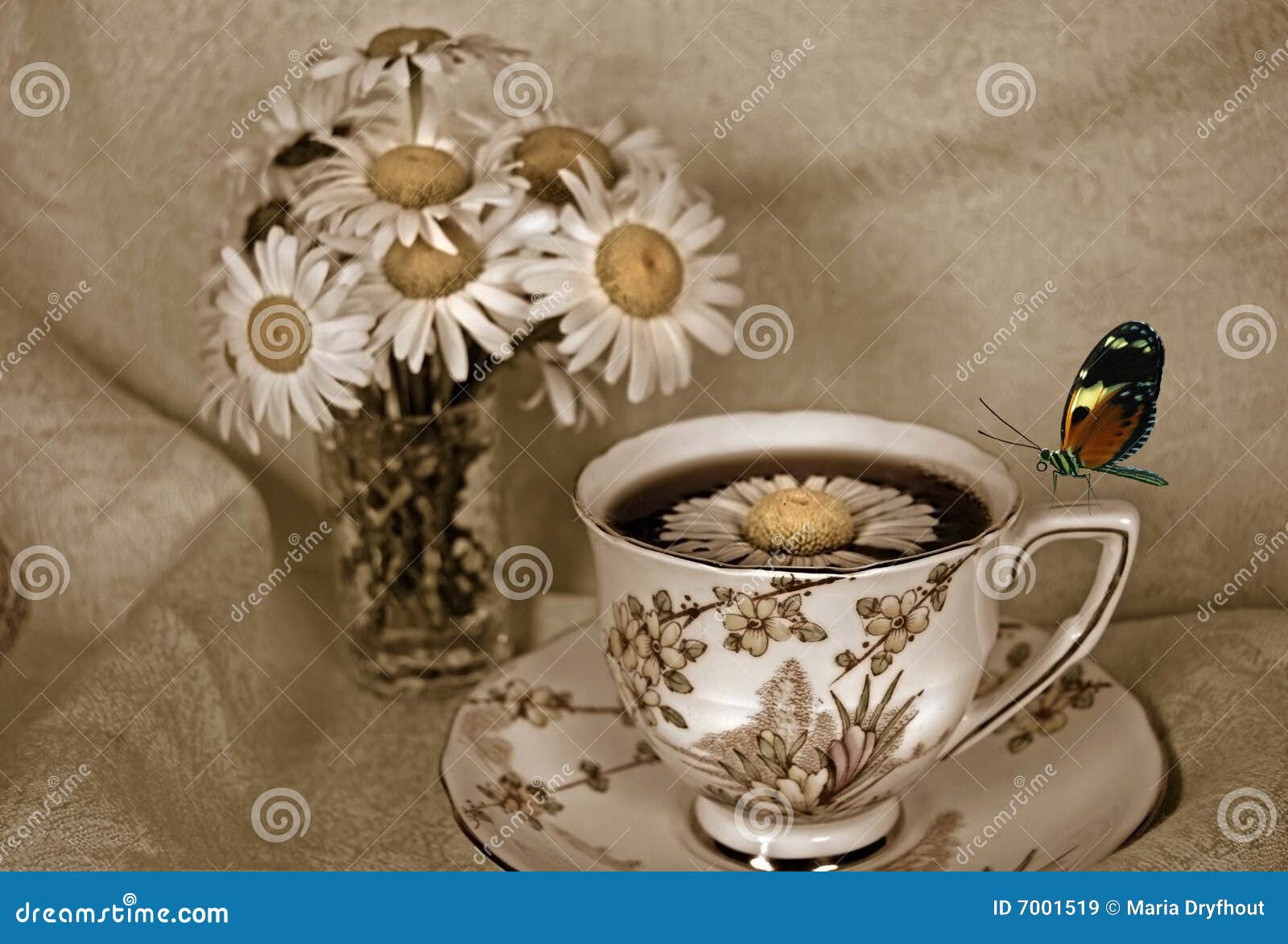 Just Dropping in stock image. Image of uniqueness, english - 7001519