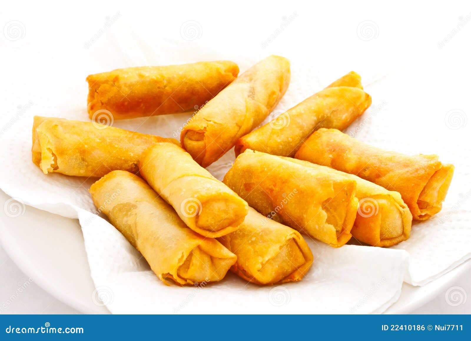 Spring Roll And Samosas Stock Image | CartoonDealer.com #25524505