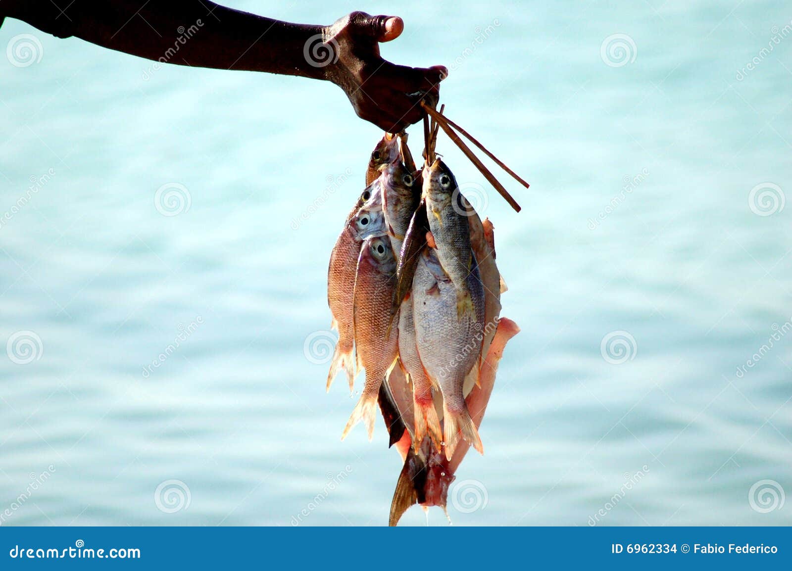 Just fished stock photo. Image of blue, large, handle - 6962334