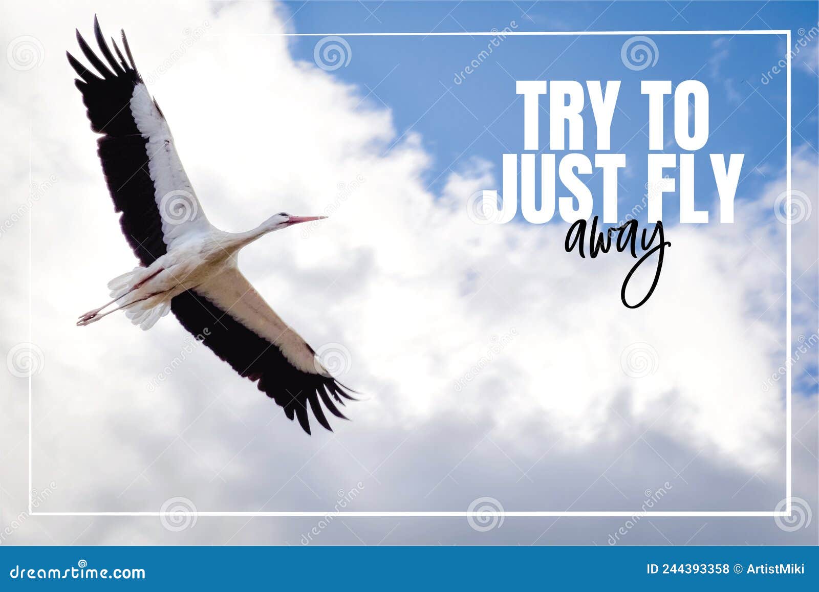 Try to just fly away stock photo. Image of quotes, away - 244393358
