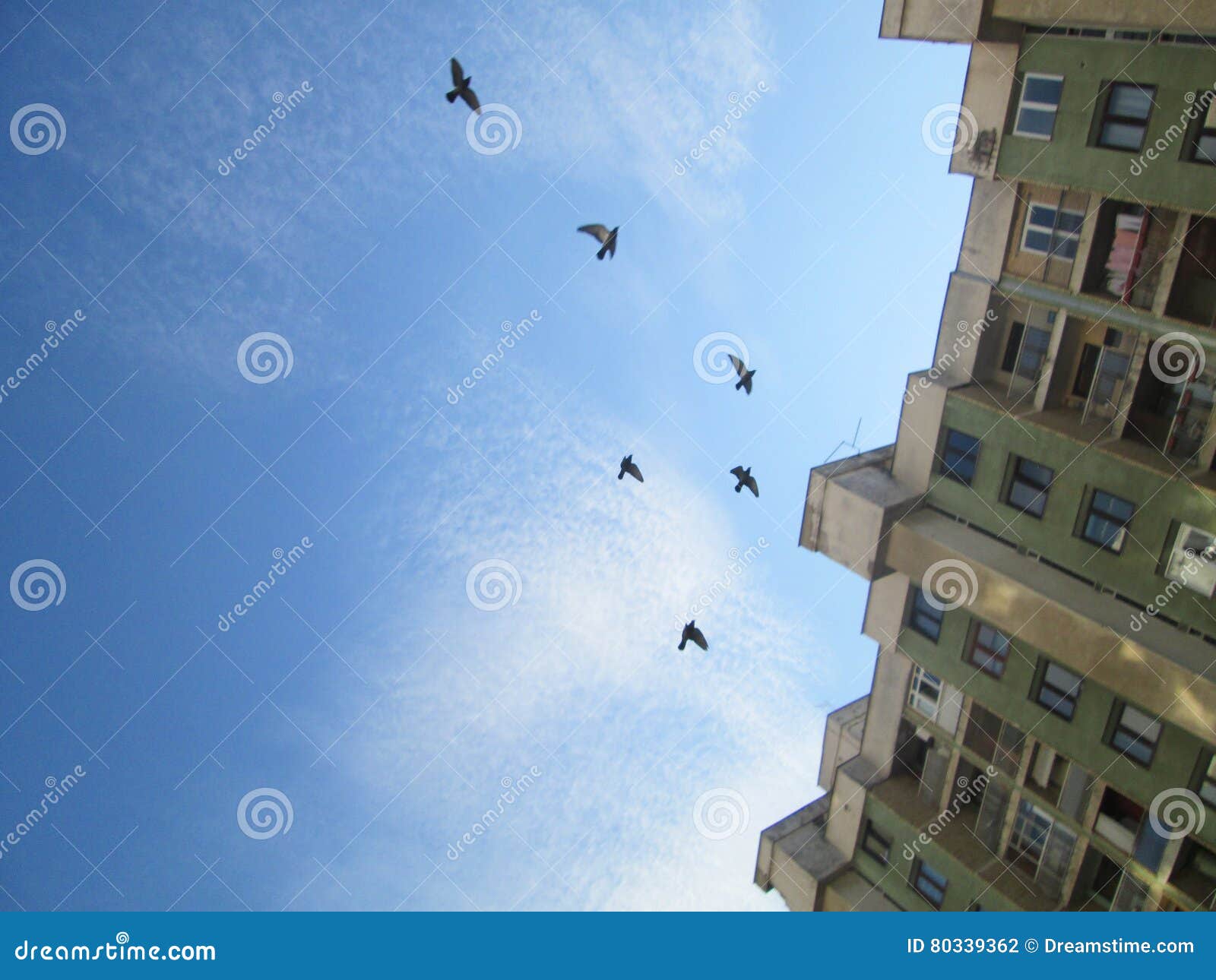 Just flying stock photo. Image of flying, shifted, perspective - 80339362