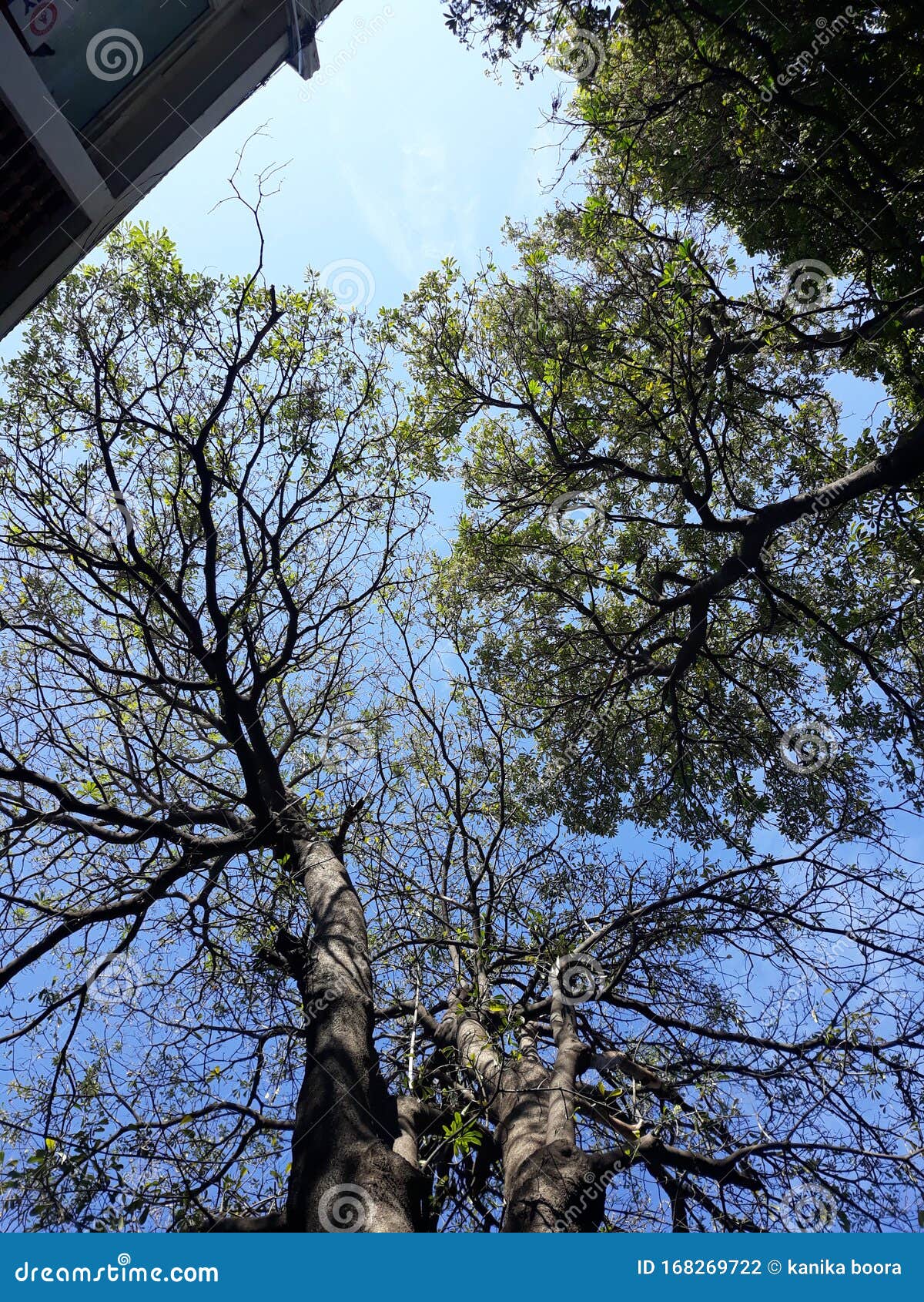 Just Keep Growing and Glowing Man. Stock Photo - Image of growing ...