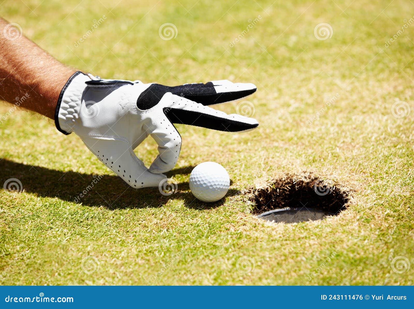 Just a Little Push. a Golfer about To Flick a Ball into the Hole. Stock ...