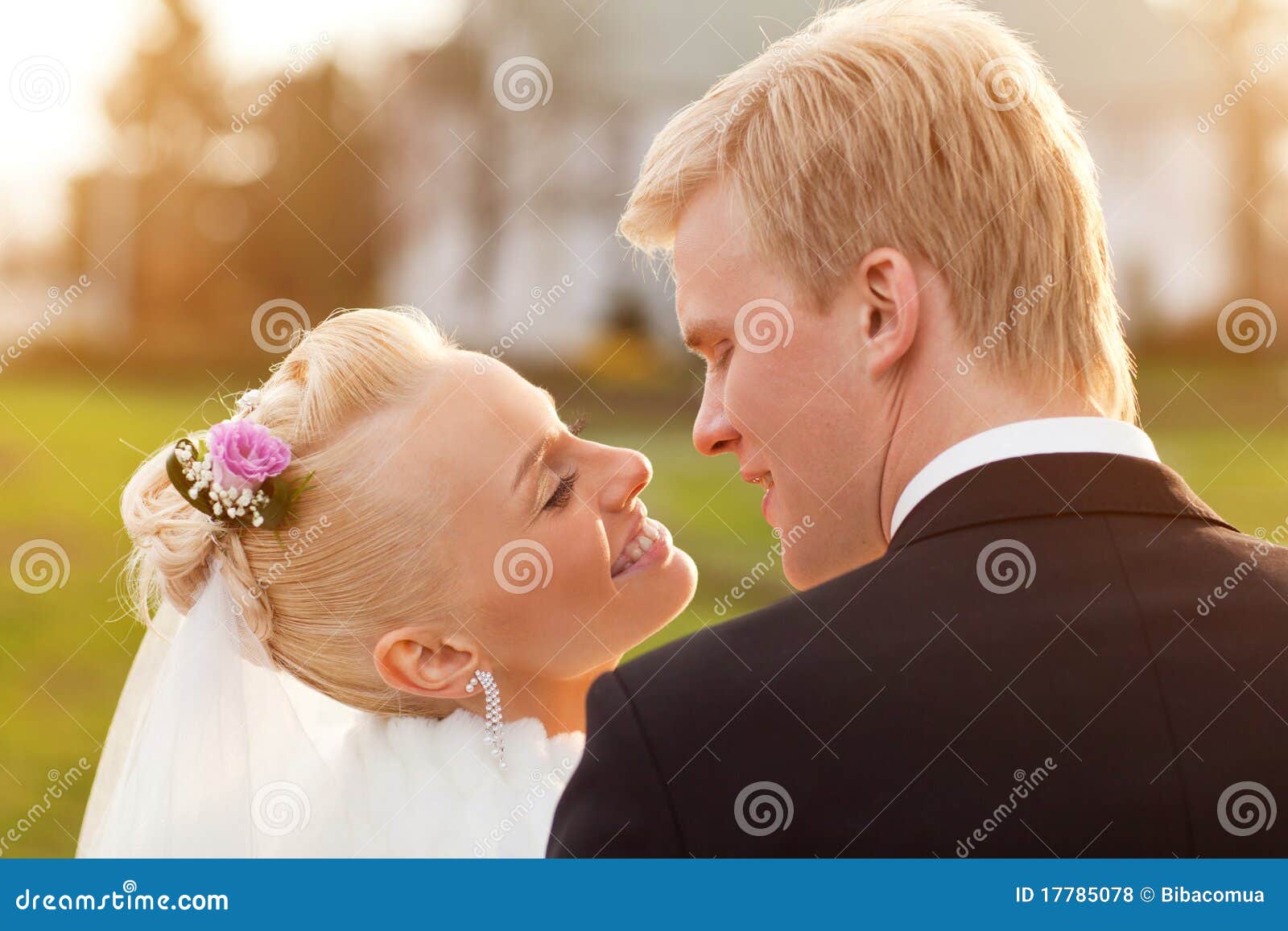 Just married stock photo. Image of bride, cute, caucasian - 17785078