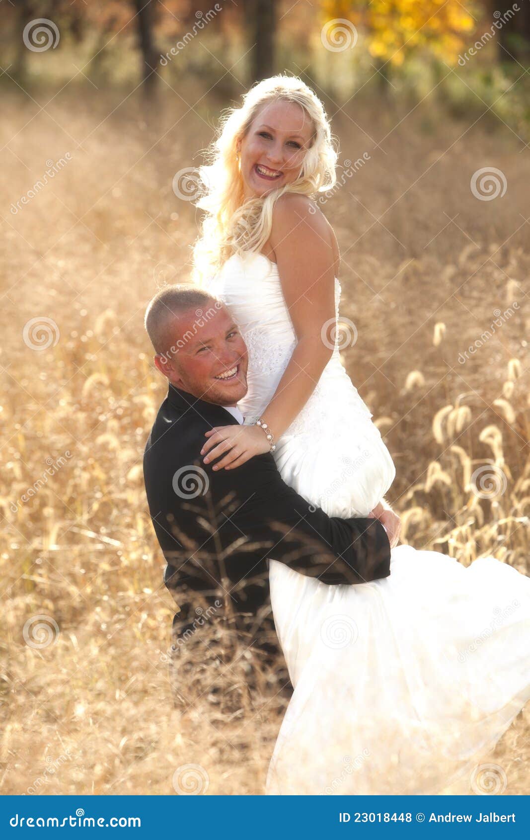 Just Married stock photo. Image of marriage, love, dress - 23018448