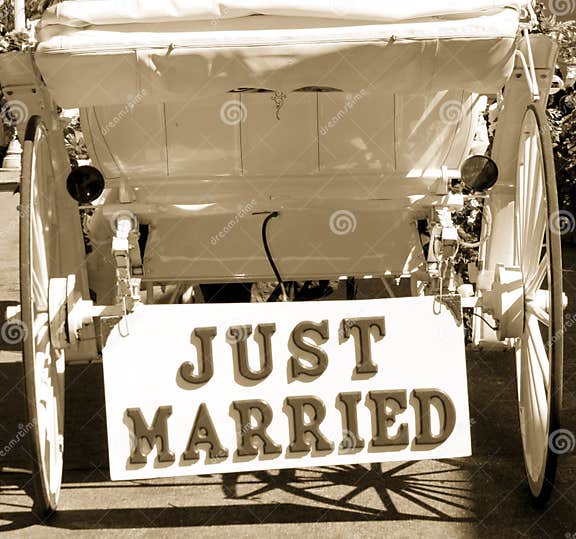 Just Married stock photo. Image of anniversary, harnessed - 306558