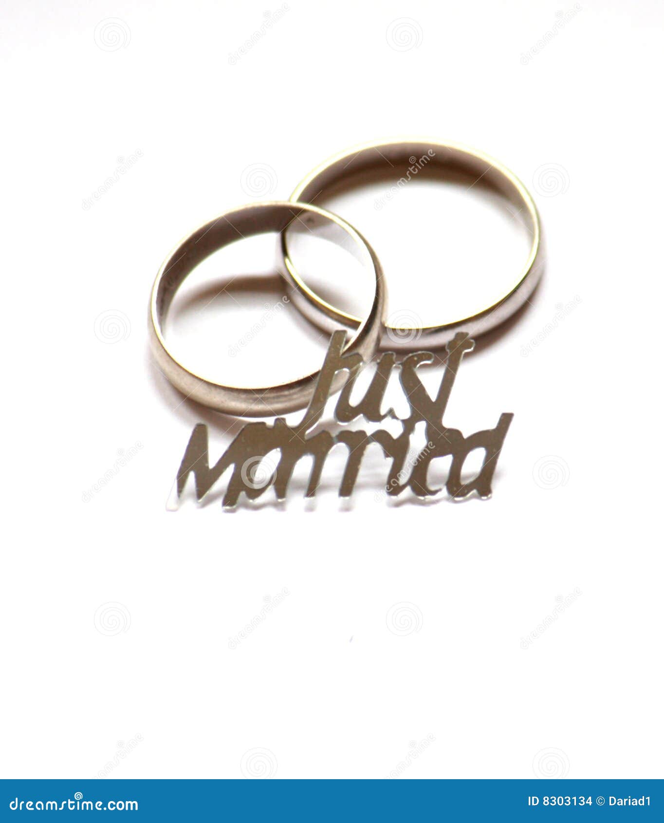 Just married stock photo. Image of commitment, ceremony - 8303134