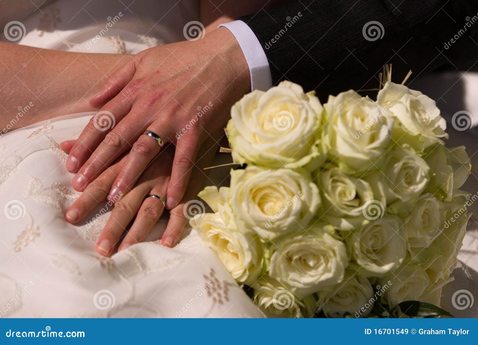 Just Married Couple Showing Rings Stock Image - Image of ring, white ...