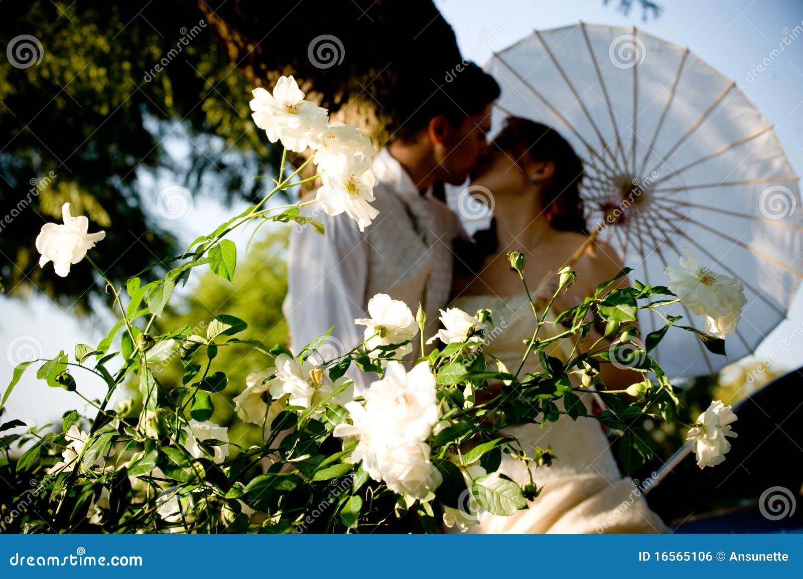 Just Married Couple Standing and Kissing in White Stock Photo - Image ...