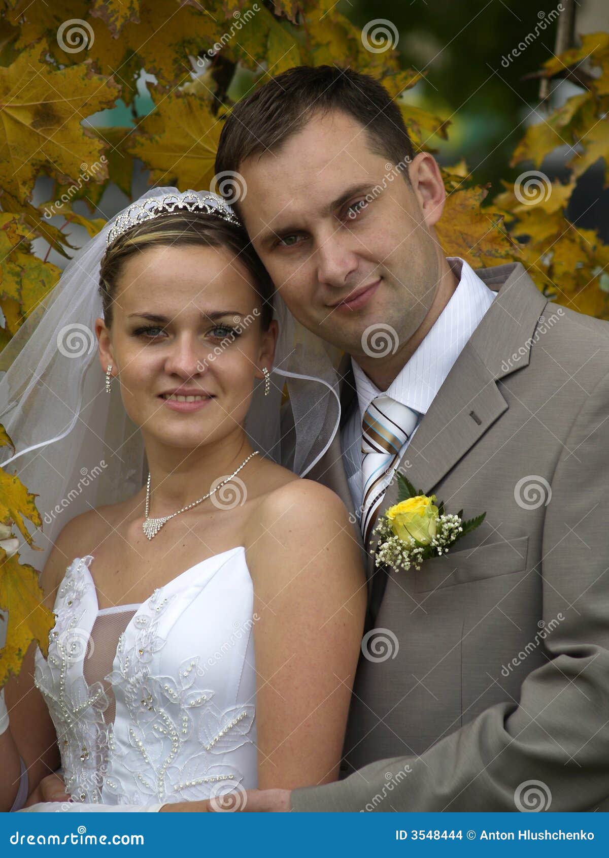 Just married portrait stock photo. Image of happy, fellow - 3548444