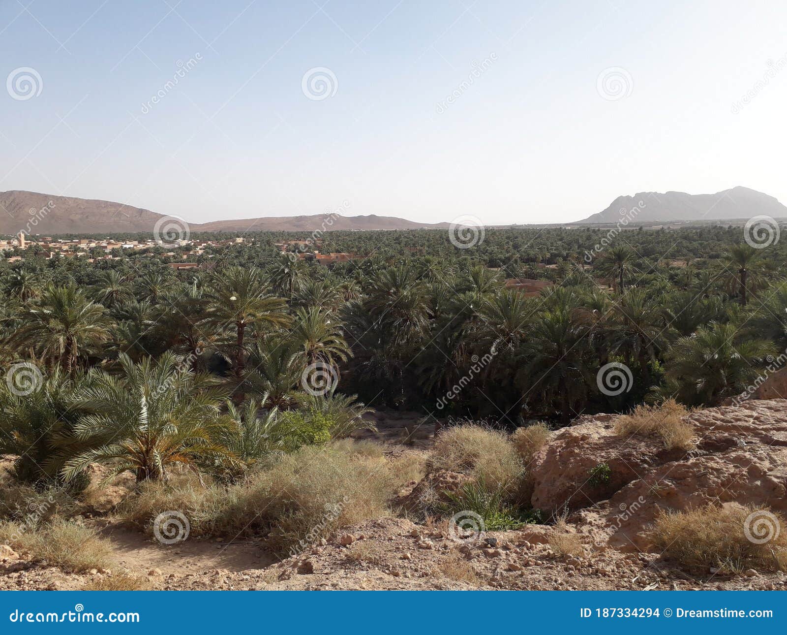 Just nature simple stock photo. Image of phone, nature - 187334294