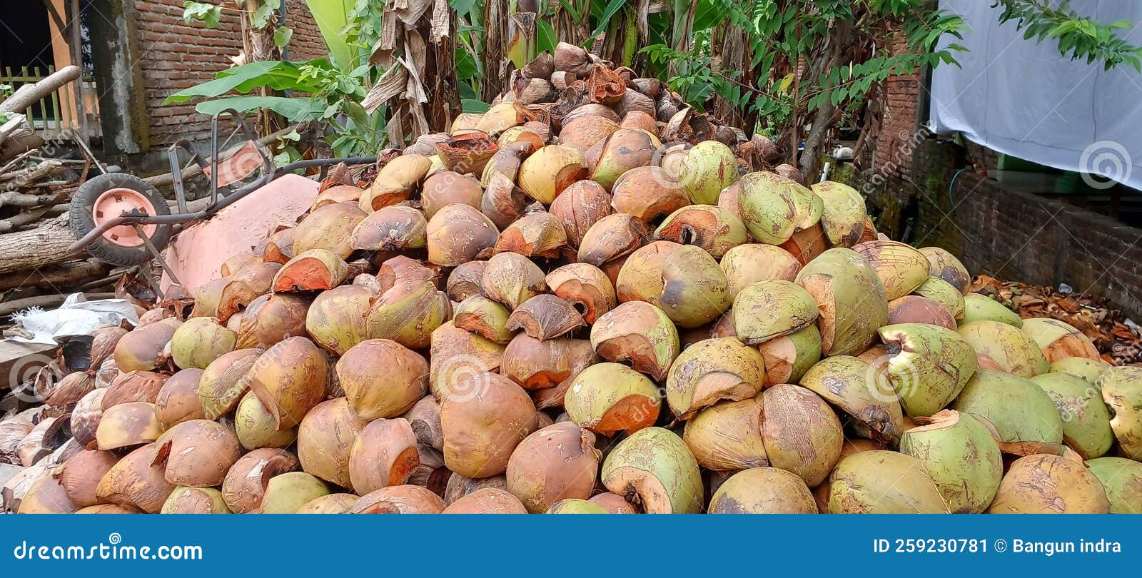 Just Pile of Coconut Shells Stock Image - Image of pile, world: 259230781