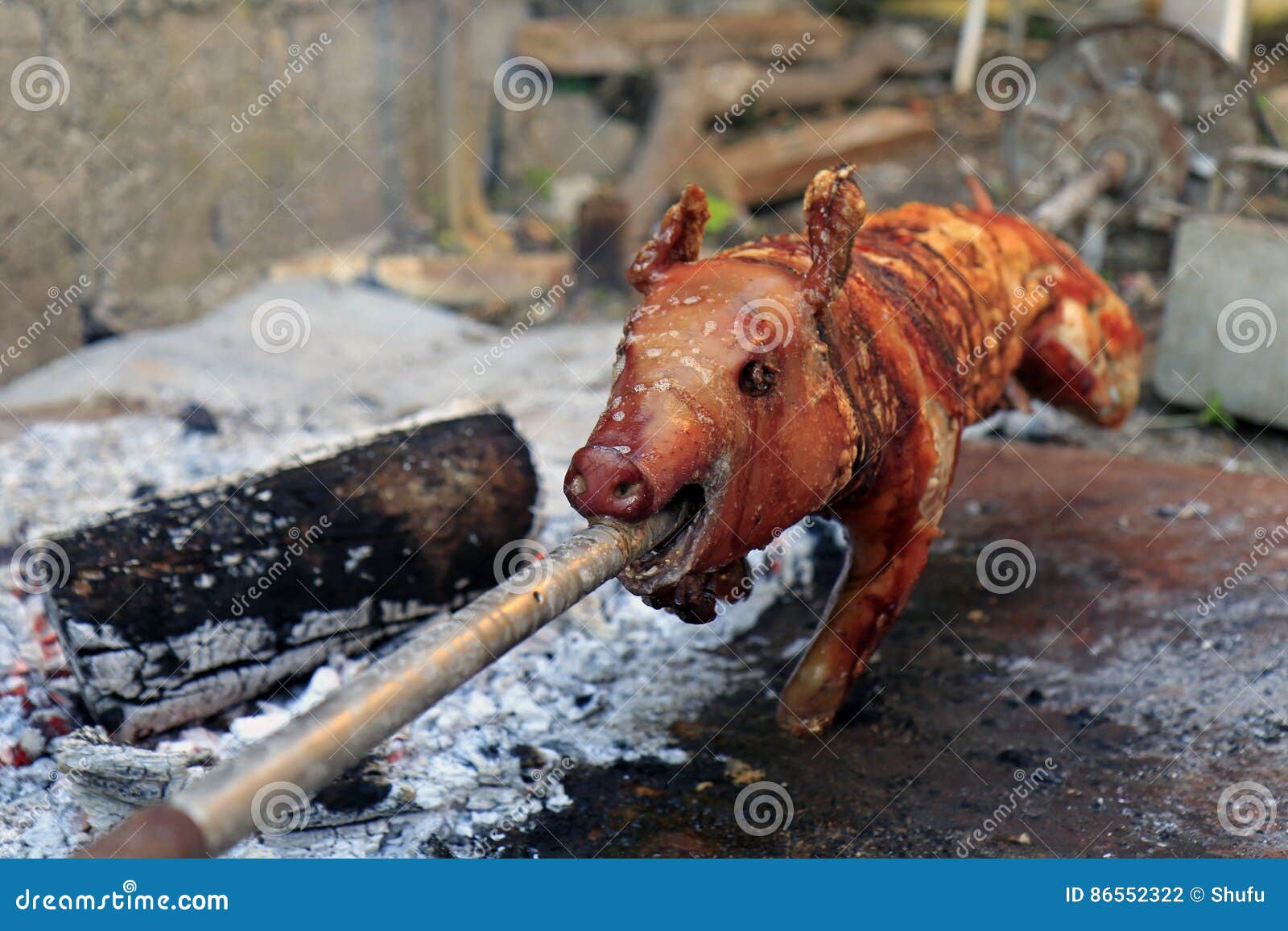 Just Roasted Suckling Pig on a Spit Stock Photo - Image of piglet ...