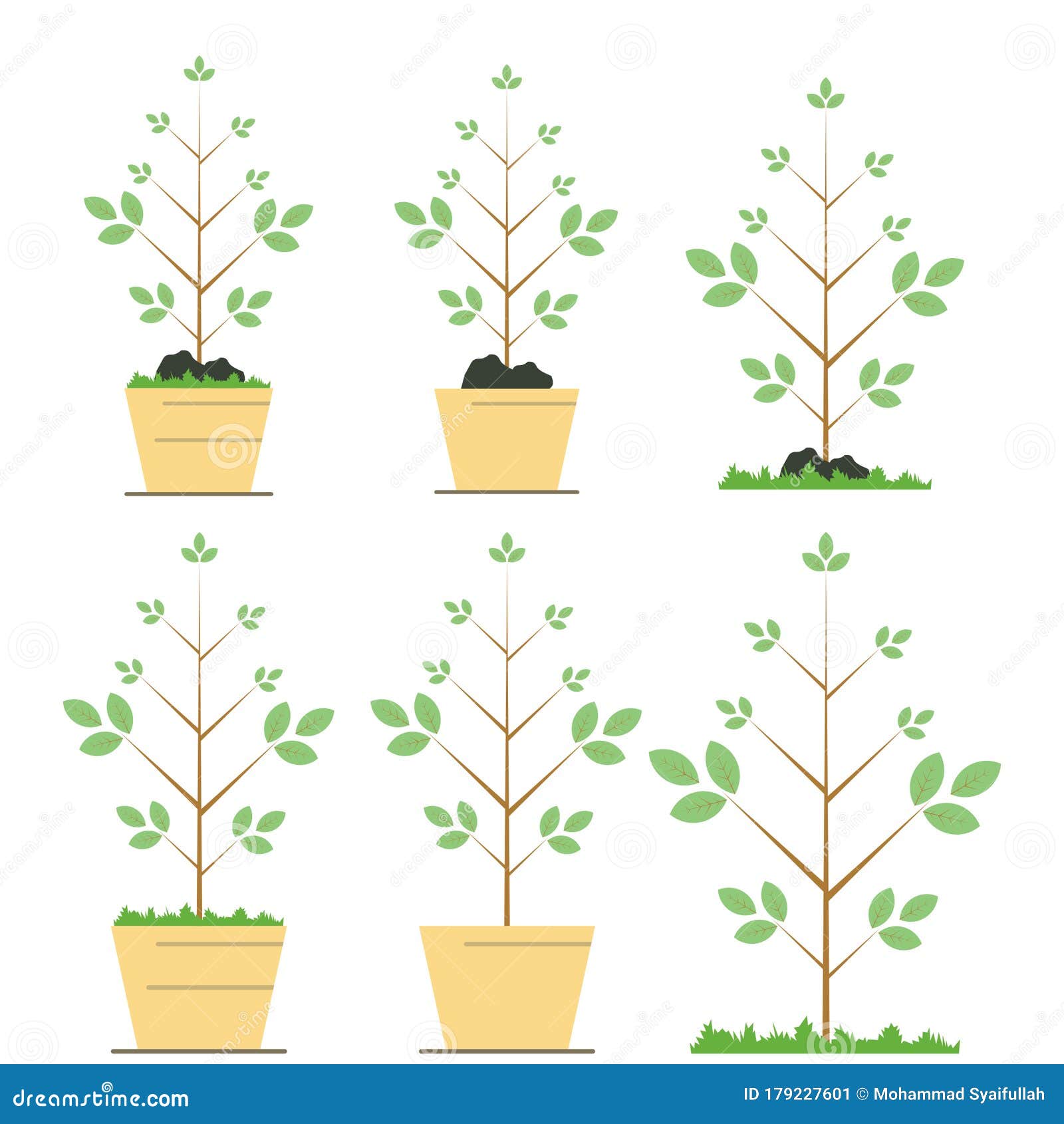 Just Set of Vector Illustration of Trees. Bundle of Colorful Trees with ...