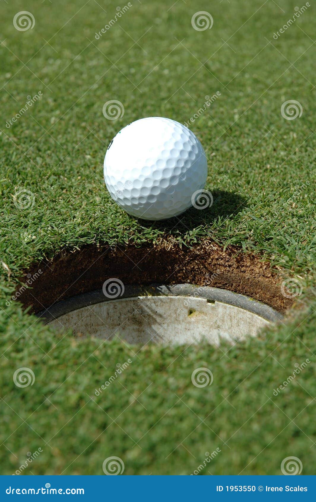 Just short stock photo. Image of hobby, healthy, stroke - 1953550