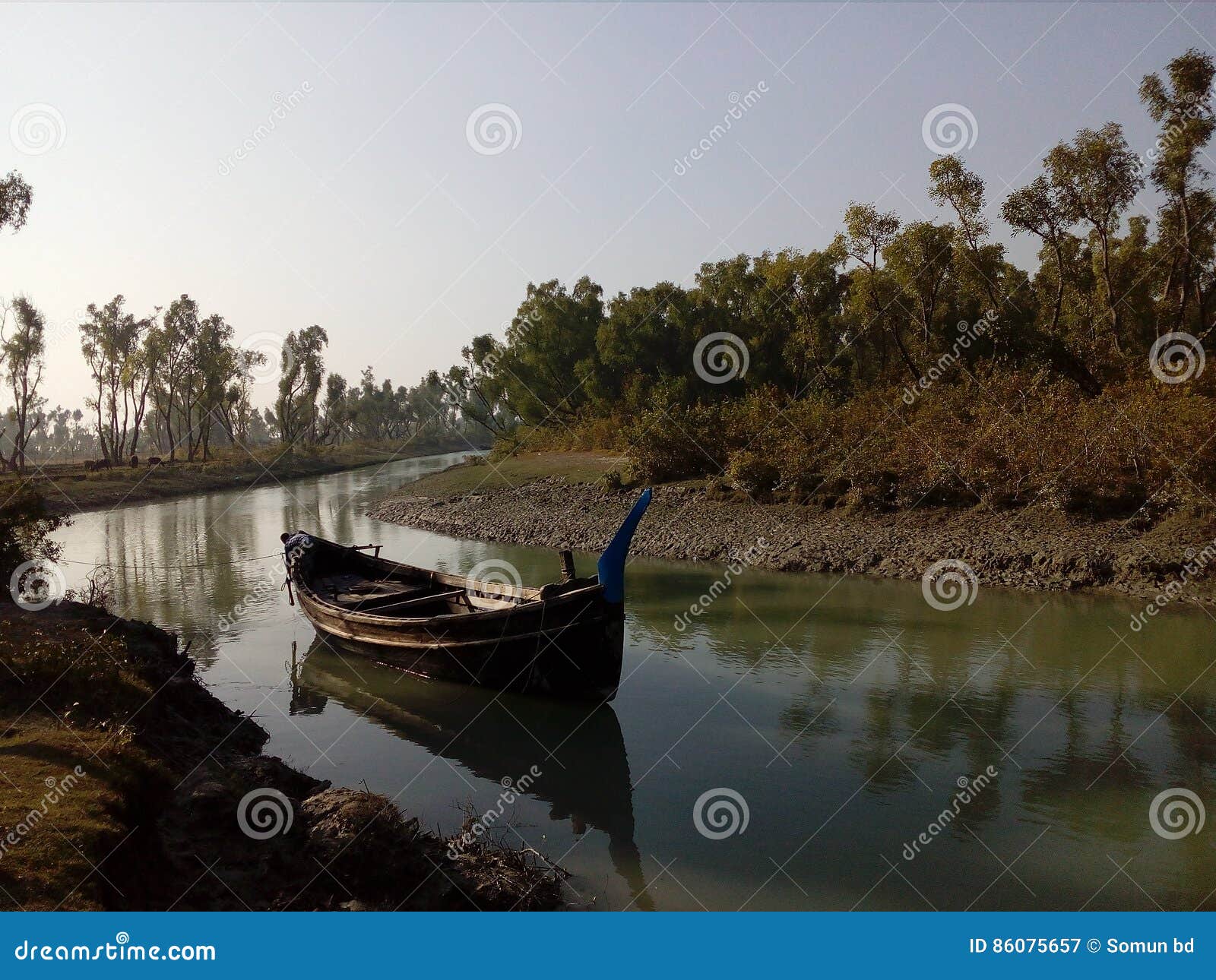 Just simple nature stock image. Image of simple, nature - 86075657