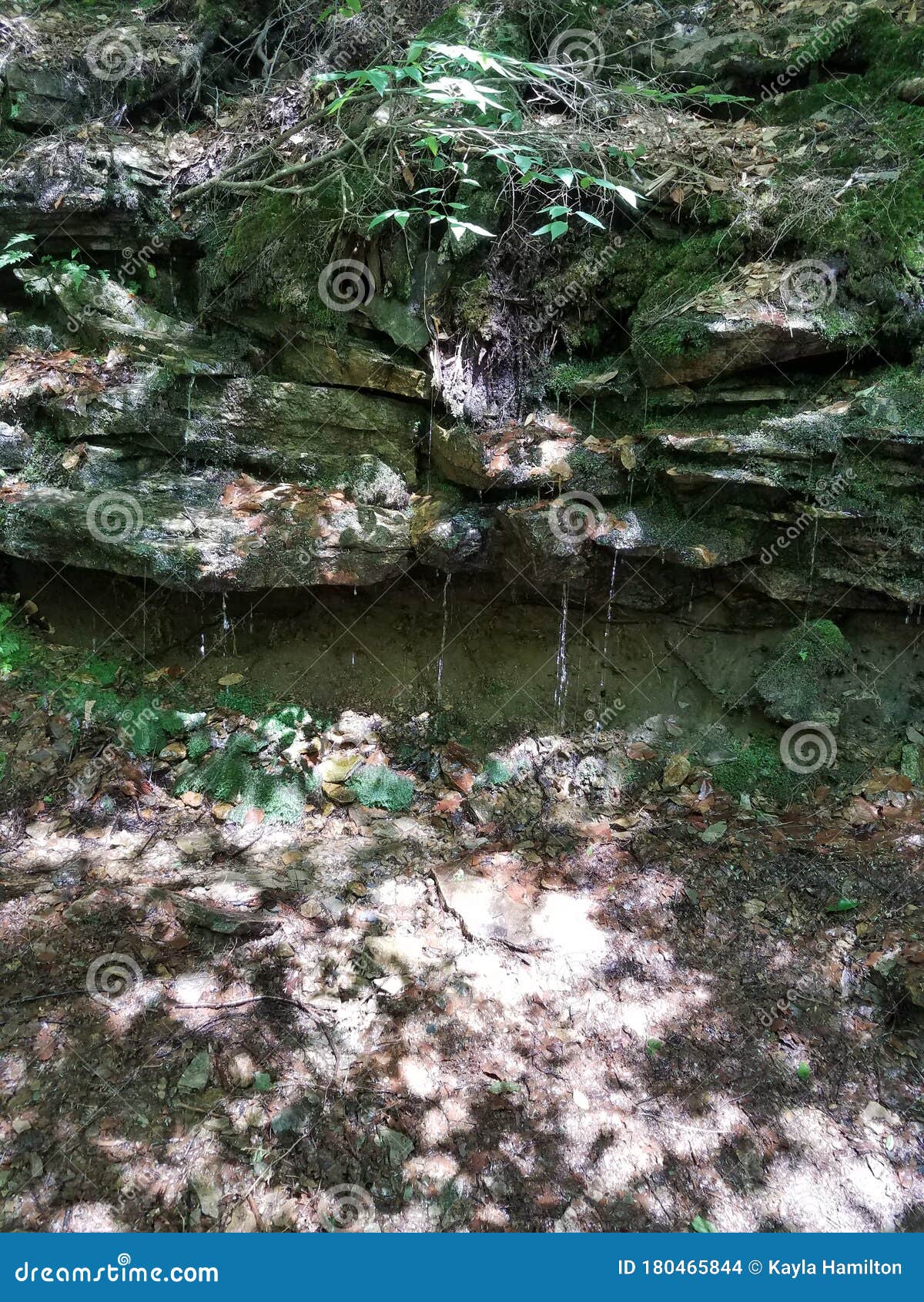 Just a trickle stock photo. Image of flower, stream - 180465844