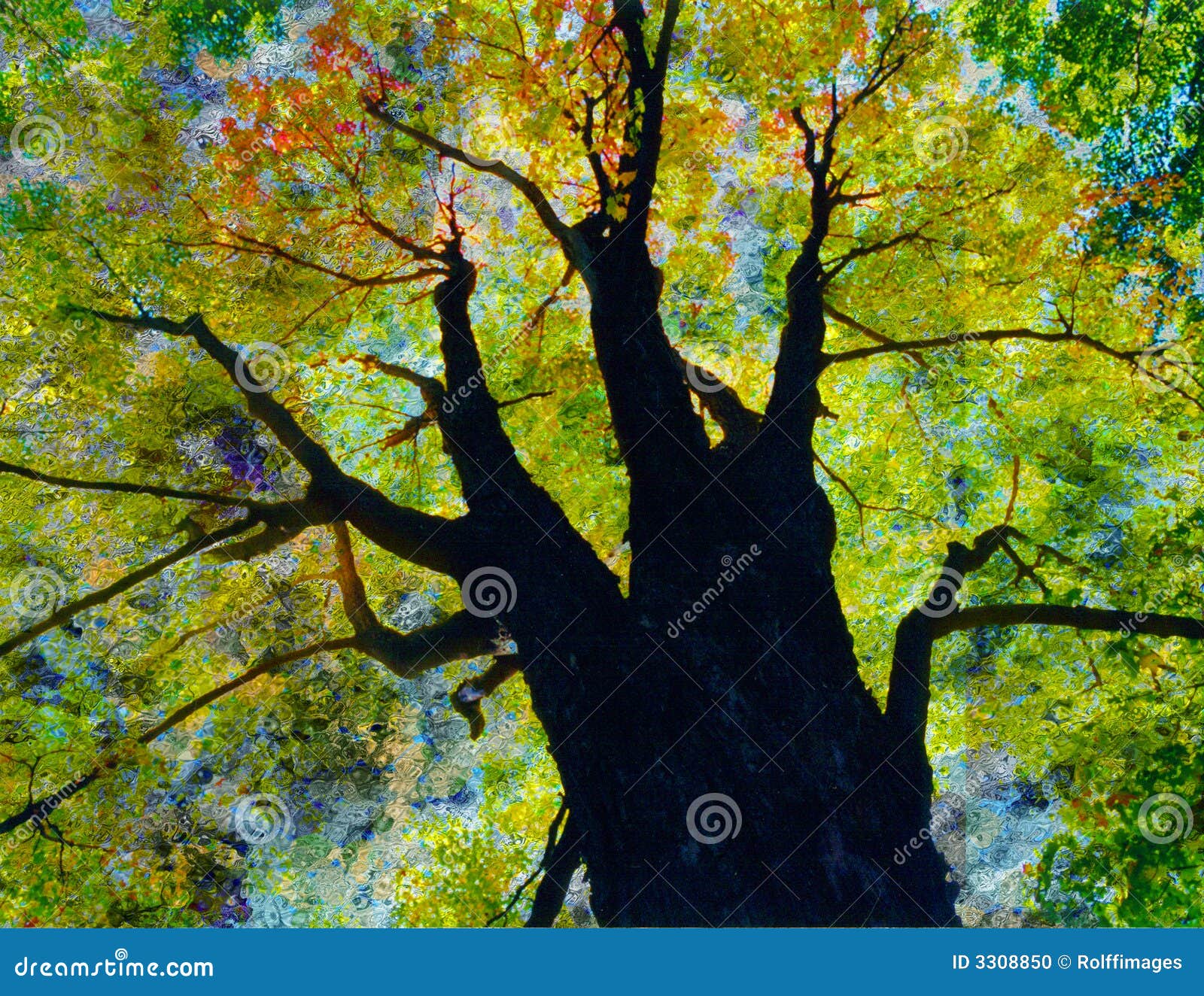 Turning Into A Tree Royalty-Free Stock Image | CartoonDealer.com #69261214